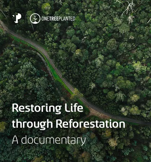 TP & One Tree Planted: Restoring Life through Reforestation